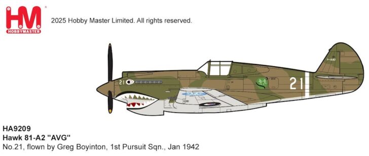 Curtiss P-40B Hawk 81A-2 "AVG" No.21, flown by Greg Boyinton, 1st ...